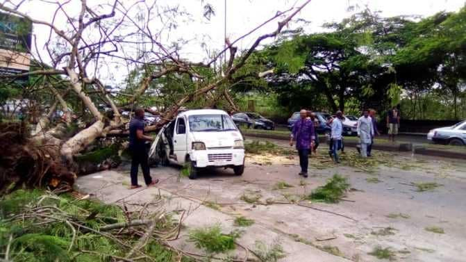 Eight escapes death as huge tree falls on commercial bus in Calabar