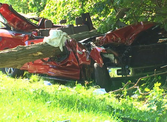 1 dead, 2 hospitalized after tree fell on a car