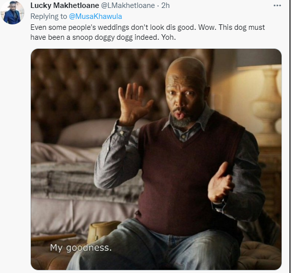 South African TV presenter, Moshe Ndiki, pulls out all the stops for ...