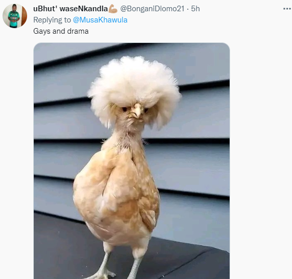 South African TV presenter, Moshe Ndiki, pulls out all the stops for ...