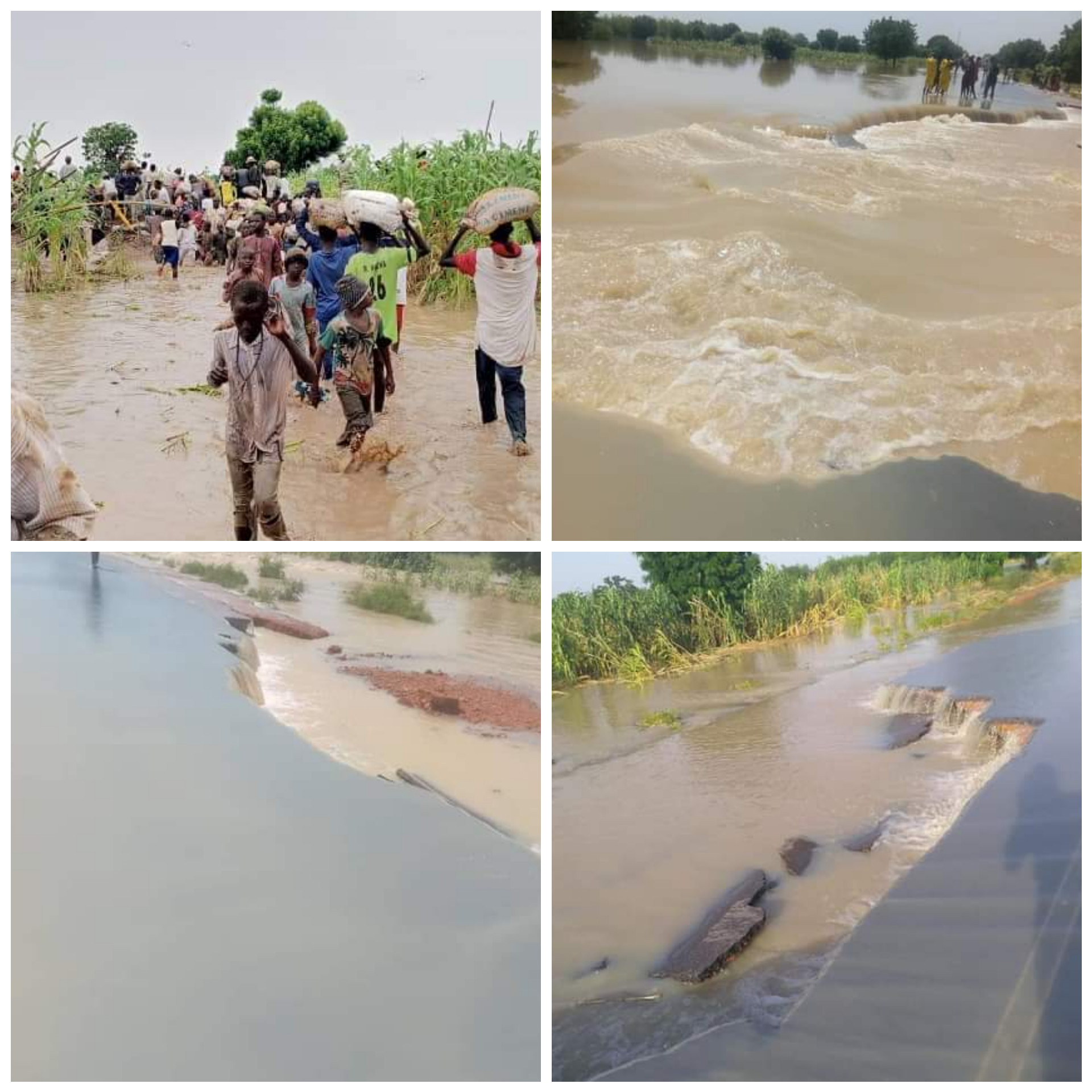 Angry mob attacks and attempts to drown journalist covering Jigawa flooding as death toll rises ...