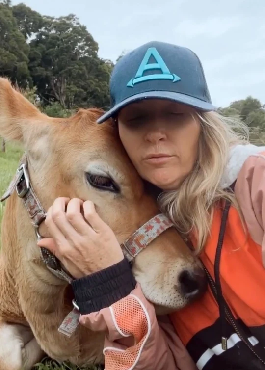 Woman quits job and leaves city life to set up rescue farm for cows ...
