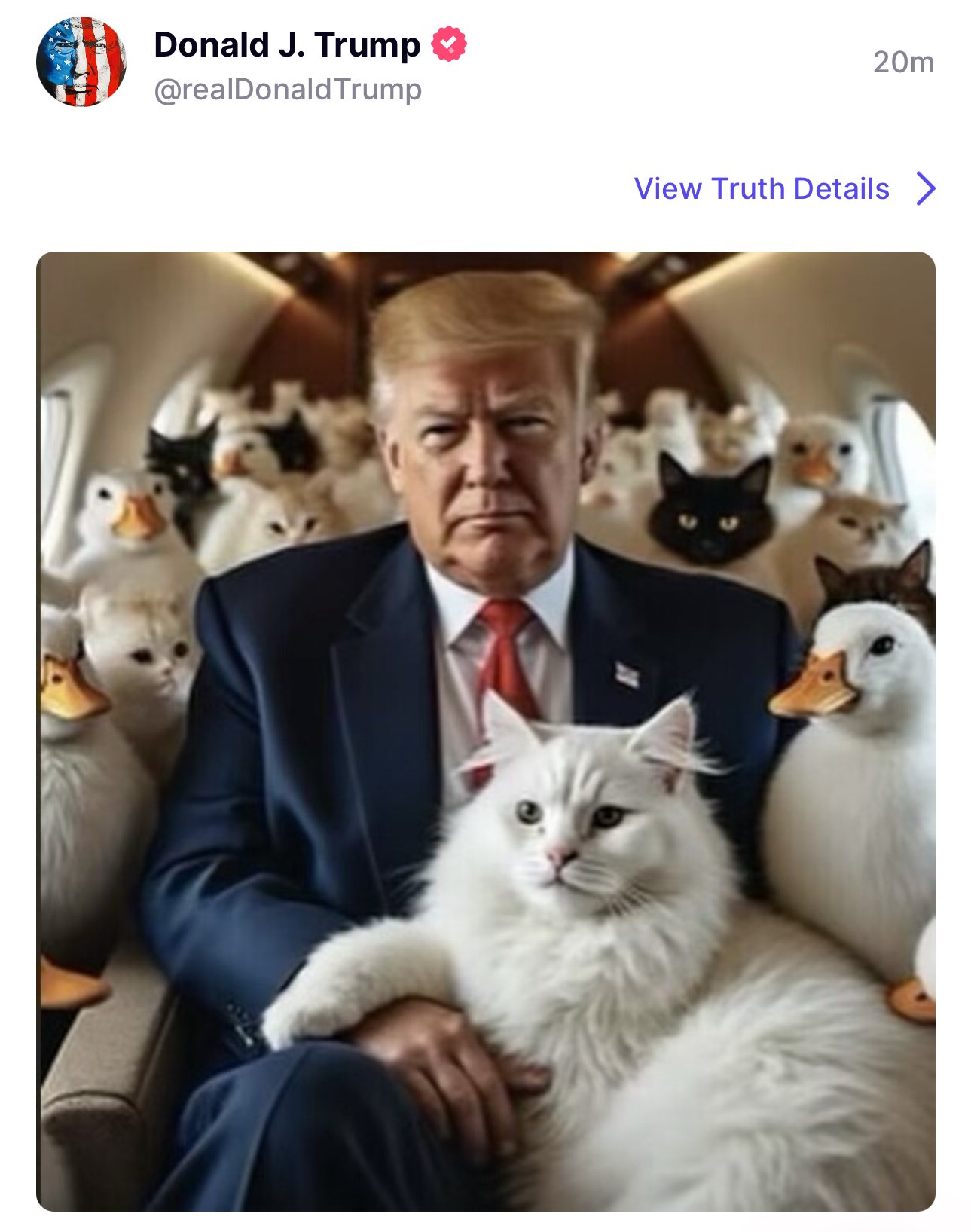 #Debate2024: Donald Trump accuses illegal immigrants of eating dogs and ...