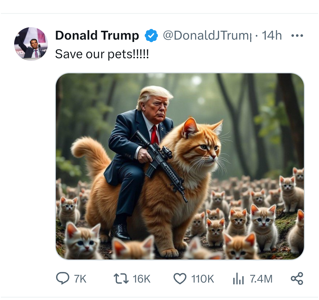 #Debate2024: Donald Trump accuses illegal immigrants of eating dogs and ...